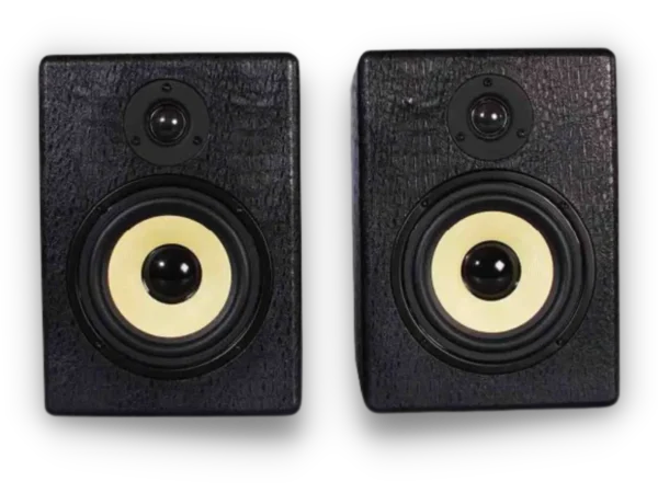 Active speakers Archives - Thornton Audio Equipment