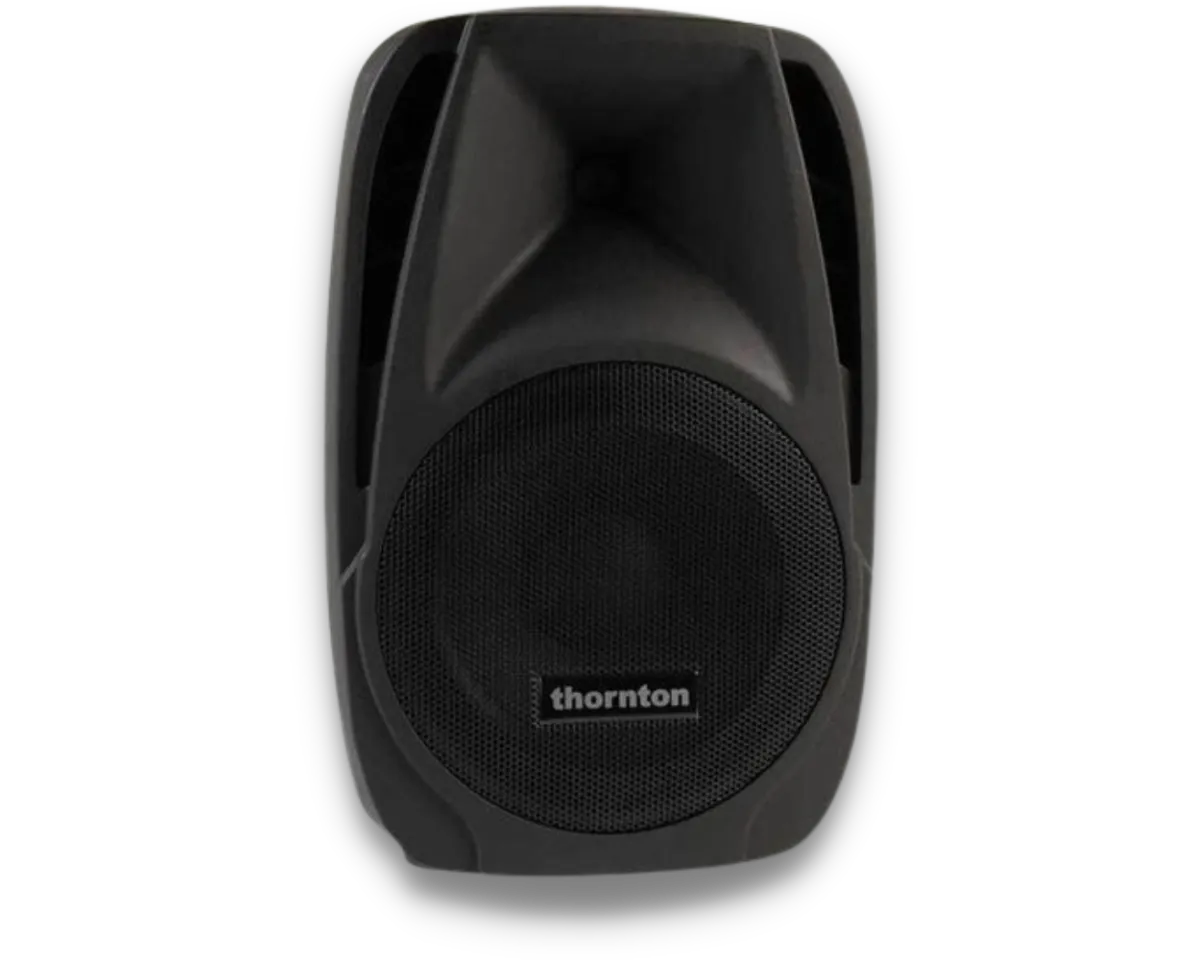 Thornton PH10AUB active speaker - Thornton Audio Equipment