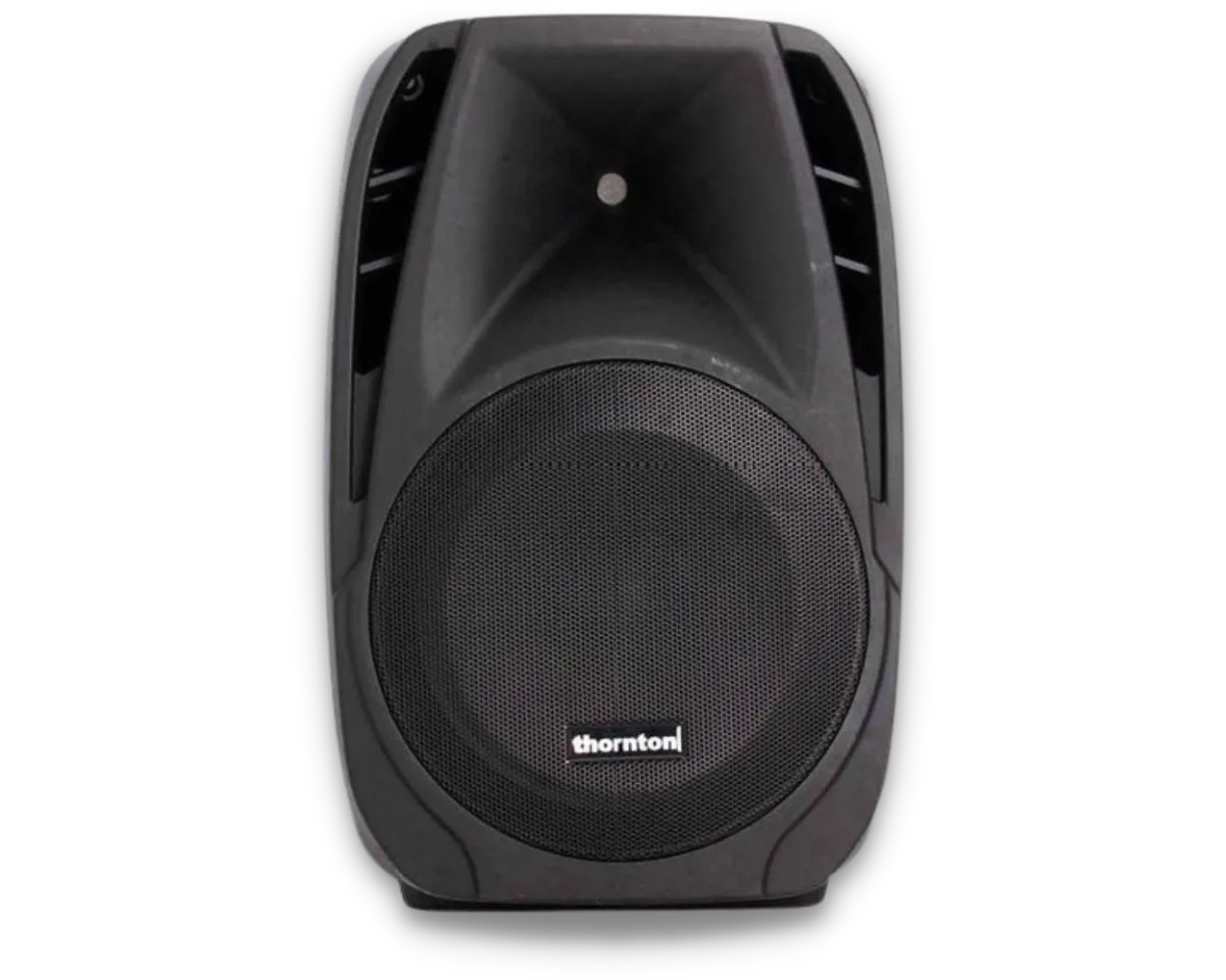 Thornton PH15AUB active speaker - Thornton Audio Equipment