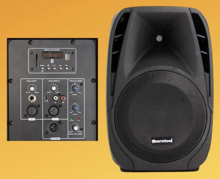 Thornton PH15AUB active speaker - Thornton Audio Equipment